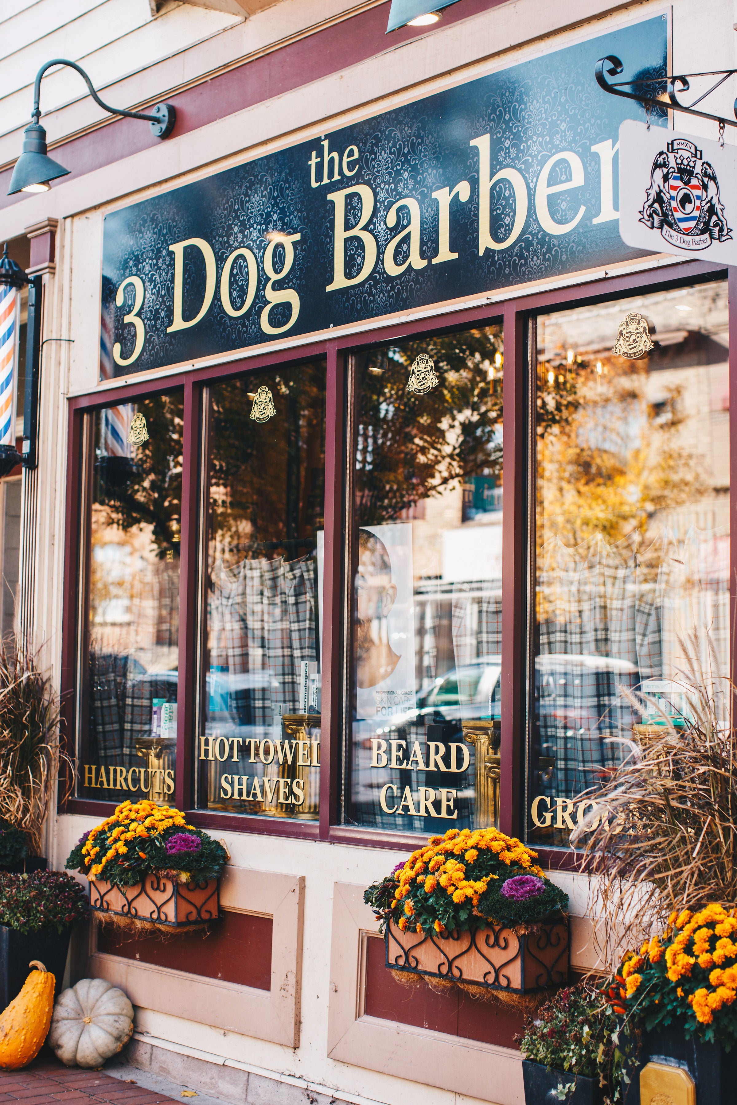 The 3 Dog Barber
